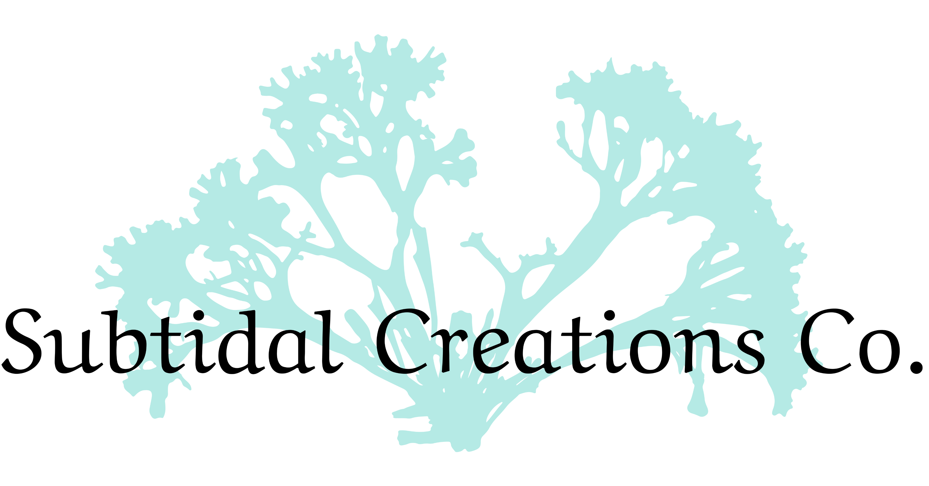 Subtidal Creations Co.